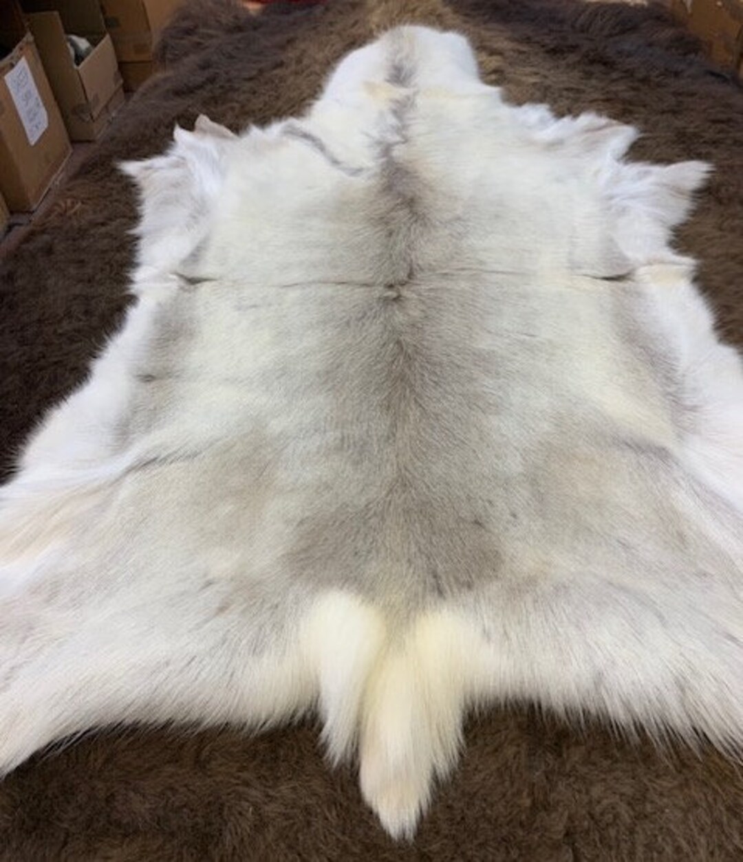 White Reindeer Fur Hides - Etsy