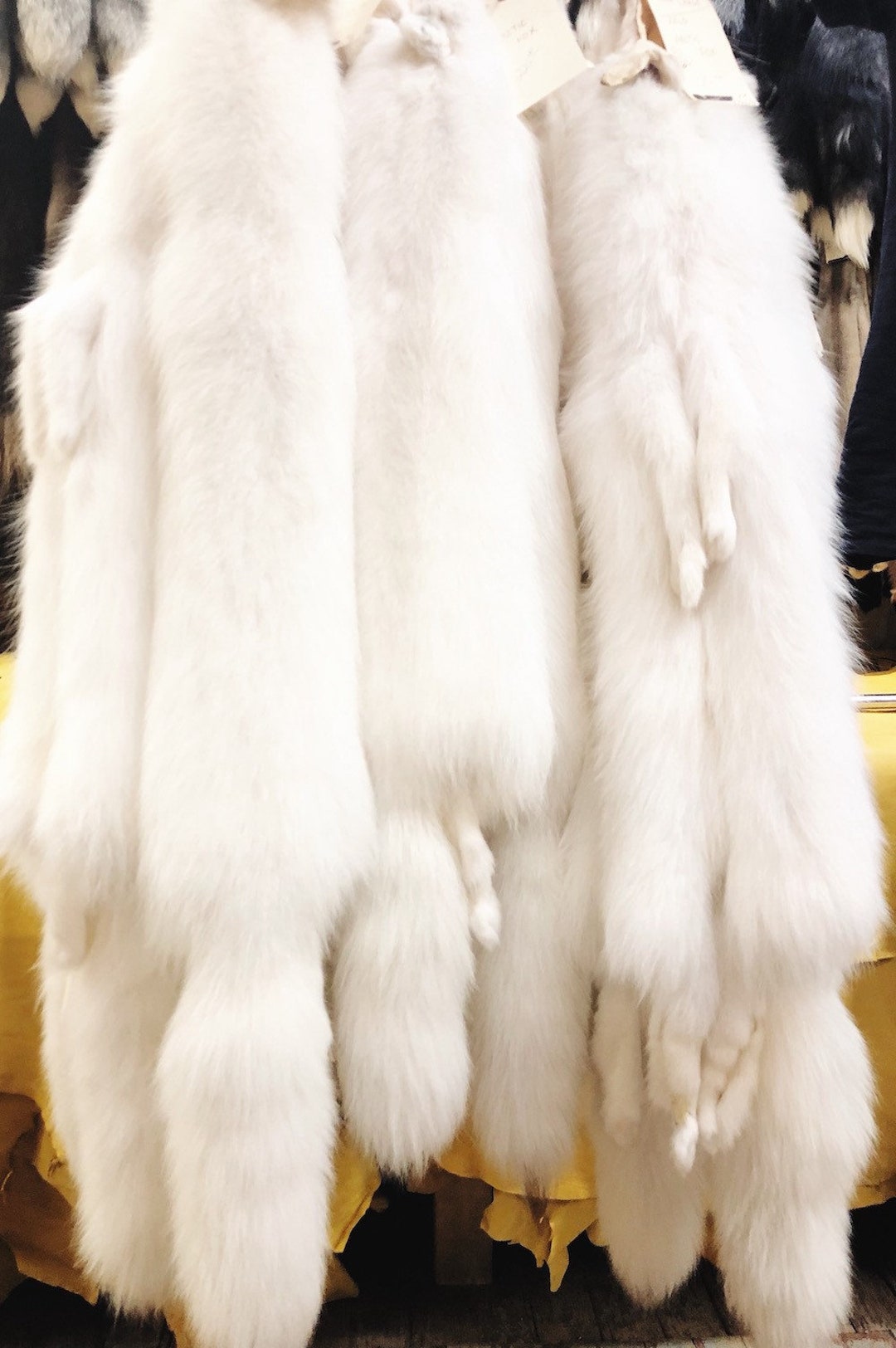 Arctic Fox Fur Pelts - Etsy