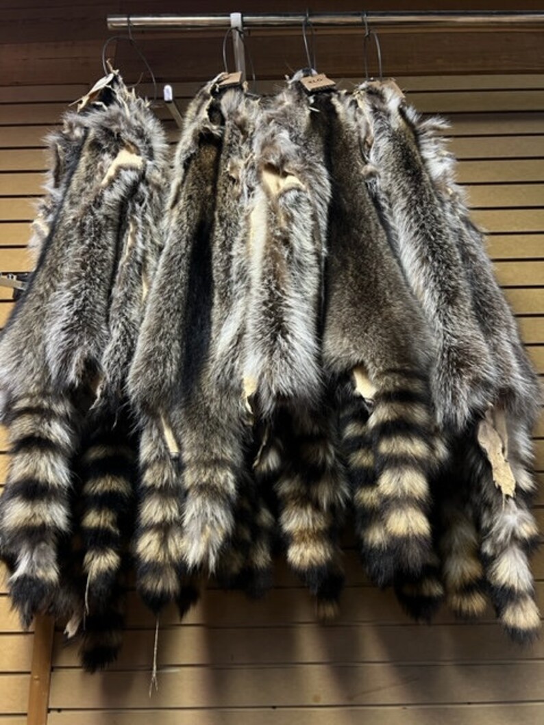 Raccon Fur Pelts - Etsy