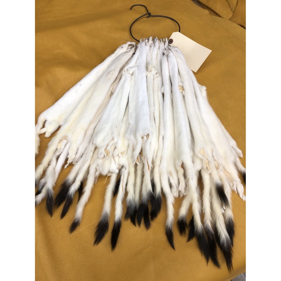 Weasel Fur Pelts - Etsy