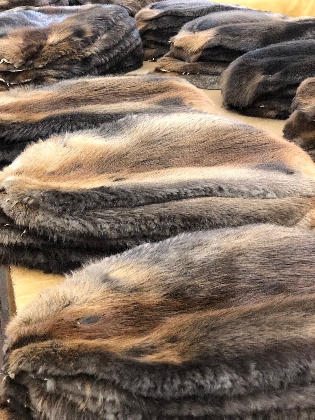 Beaver Fur Pelts - Etsy Canada