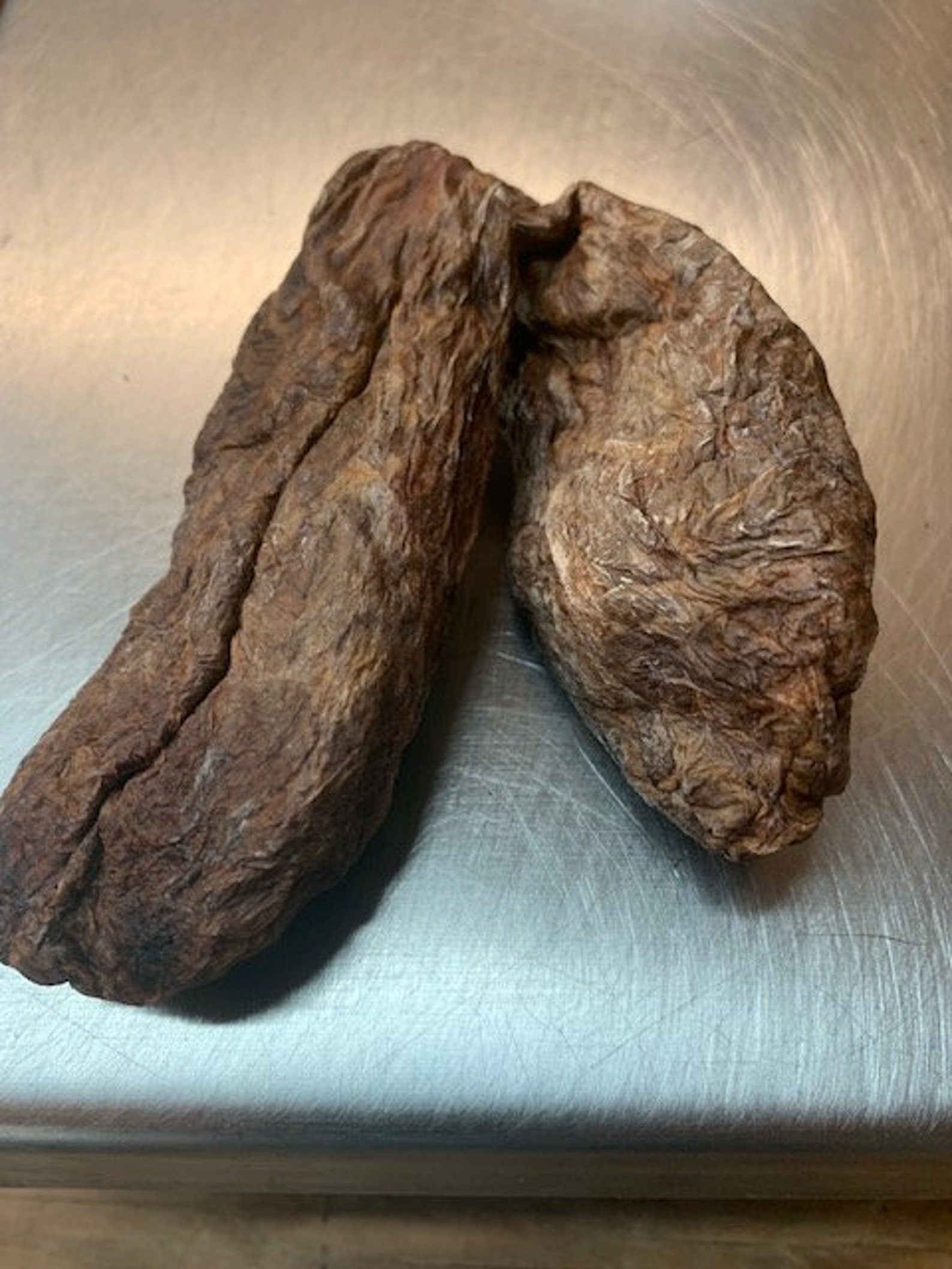 Full Castoreum Glands - Etsy Canada