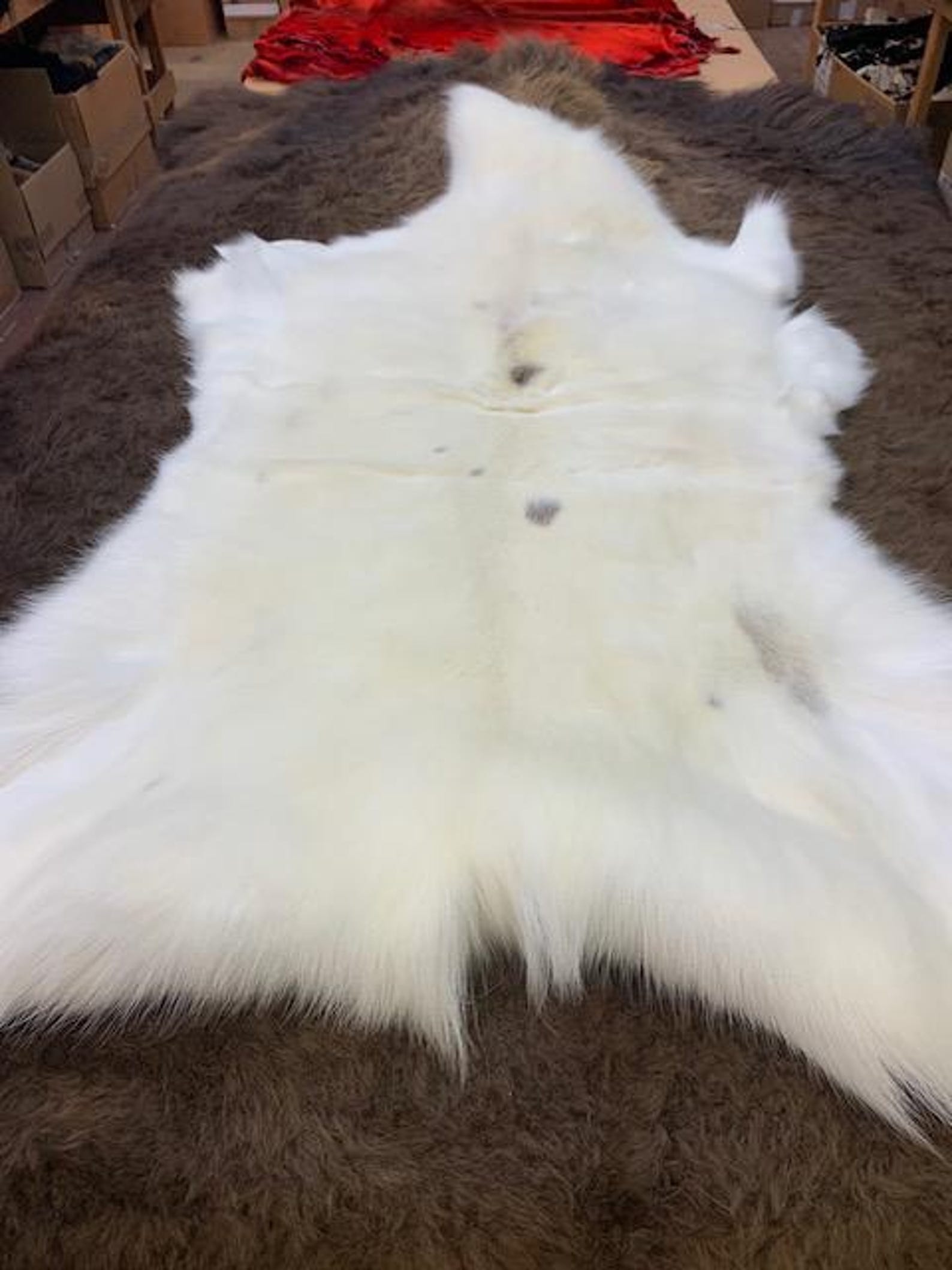 White Reindeer Fur Hides - Etsy