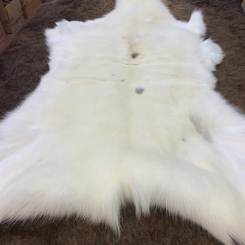 Wolf Skin Rug - Etsy