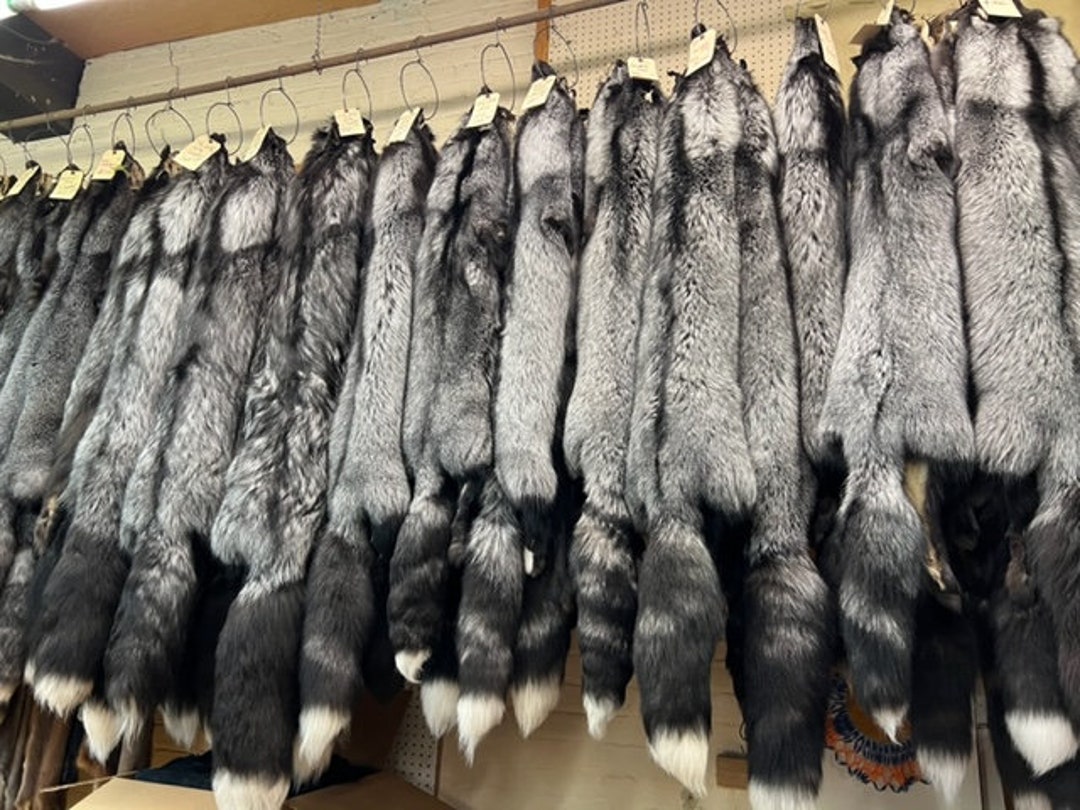 Silver Fox Fur Pelts - Etsy