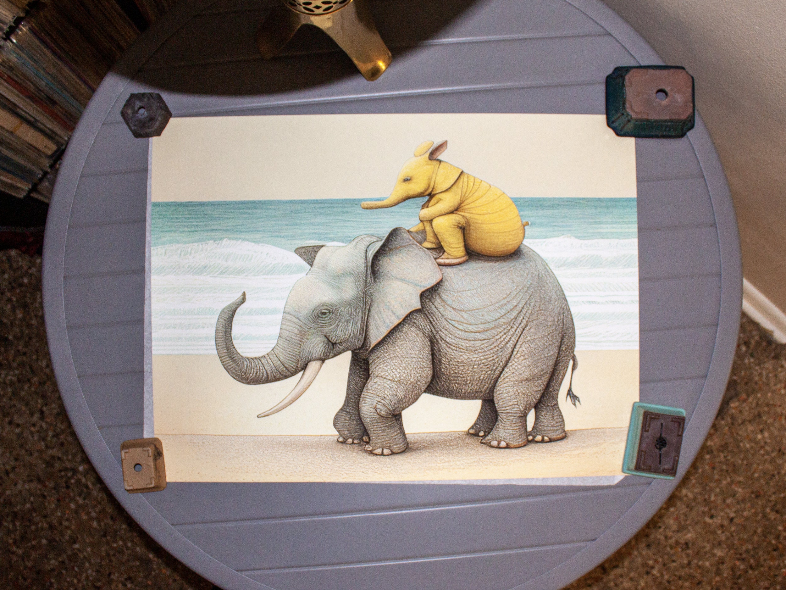 Ocean Safari an Elephant and Aardvark's Aquatic Adventure Beach Animal ...