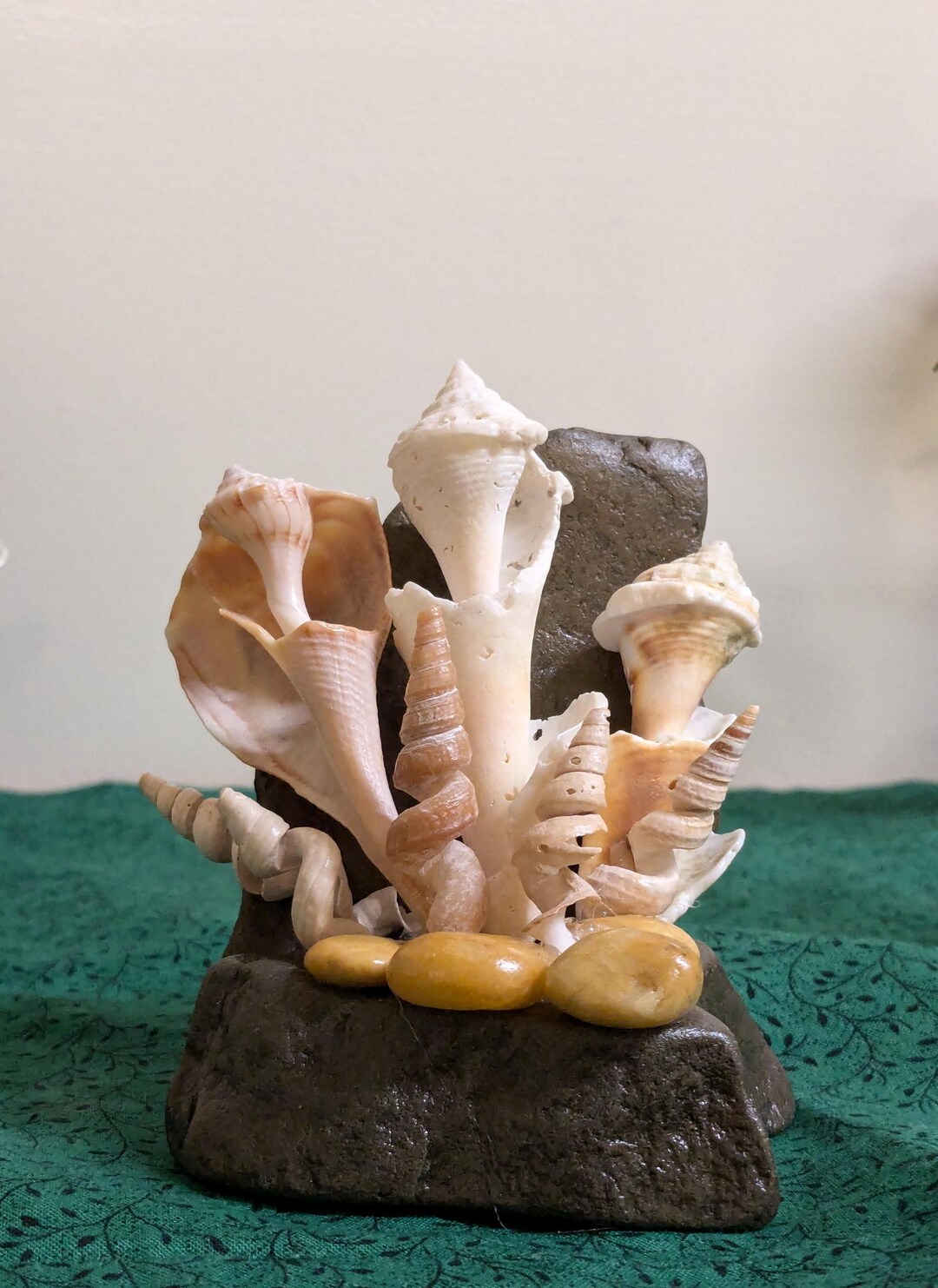 Small Sea Shell Arrangement Centerpiece Flowers With Curly Shells ...