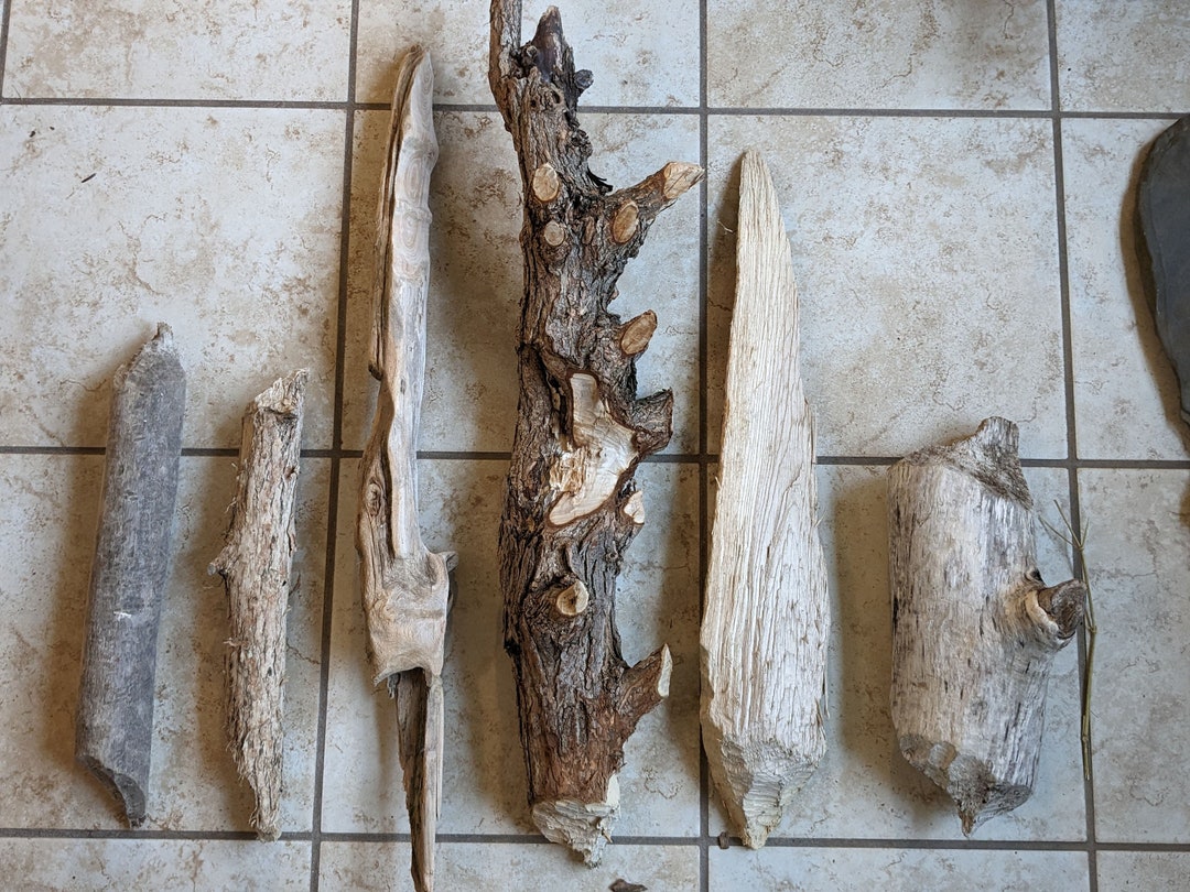 Beaver Sticks, Many Options. Beaver Chewed Craft Sticks. Double Ended ...