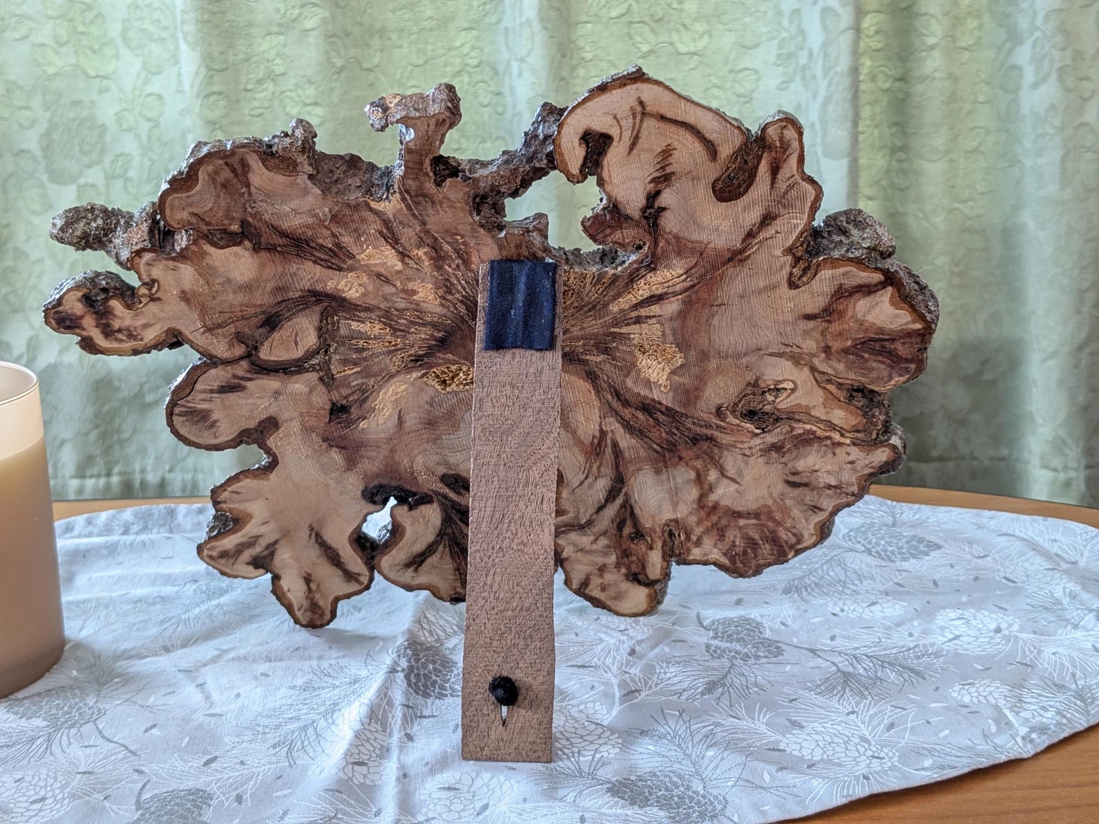 Beech Burl Display Piece: High Gloss Lacquer, Live Bark Edge - Etsy