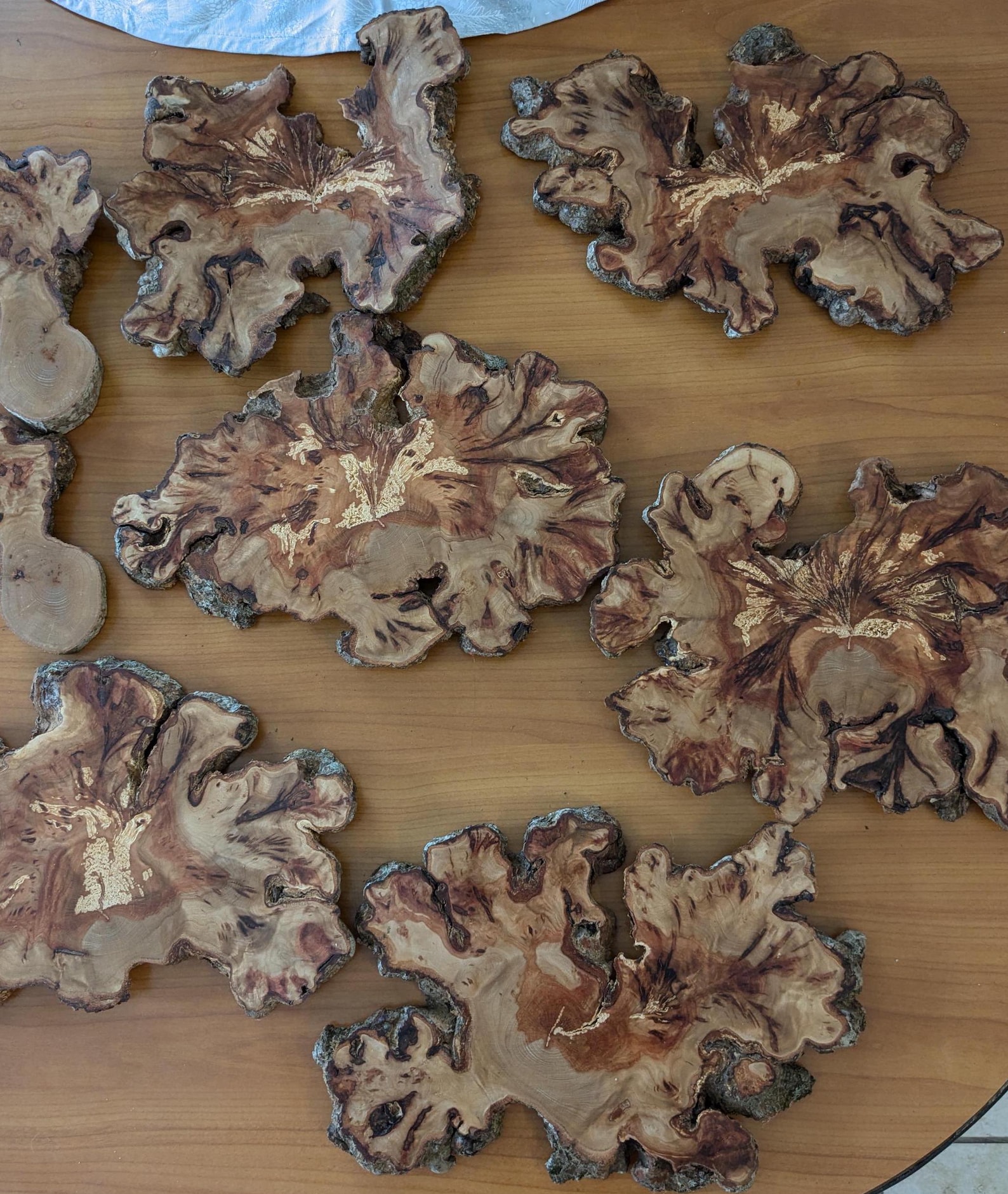 Beech Burl Display Piece: High Gloss Lacquer, Live Bark Edge - Etsy