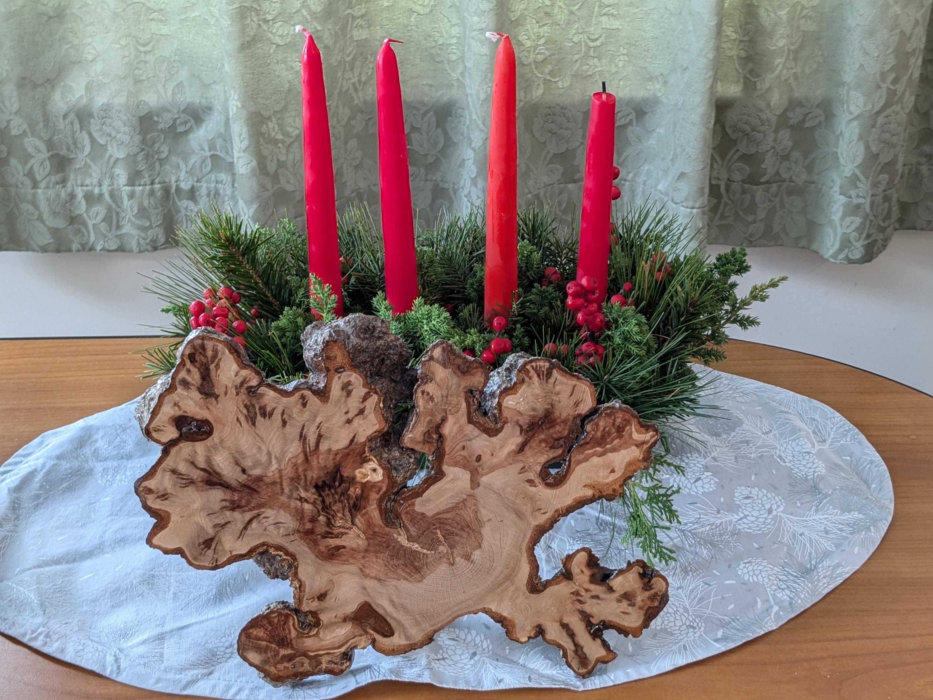 Beech Burl Display Piece: High Gloss Lacquer, Live Bark Edge - Etsy