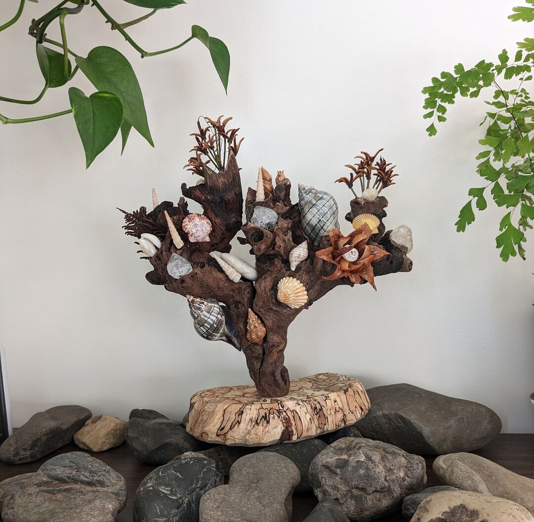Driftwood Centerpiece: Shells, Seed Pods, Herkimer Diamond, Spalted ...