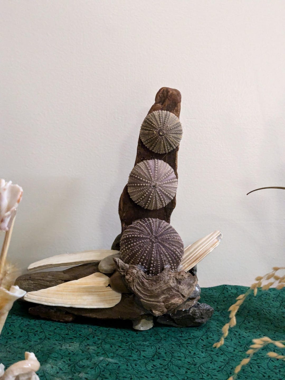 Small Sea Shell Arrangement Centerpiece Sea Urchins and Shell Slabs ...