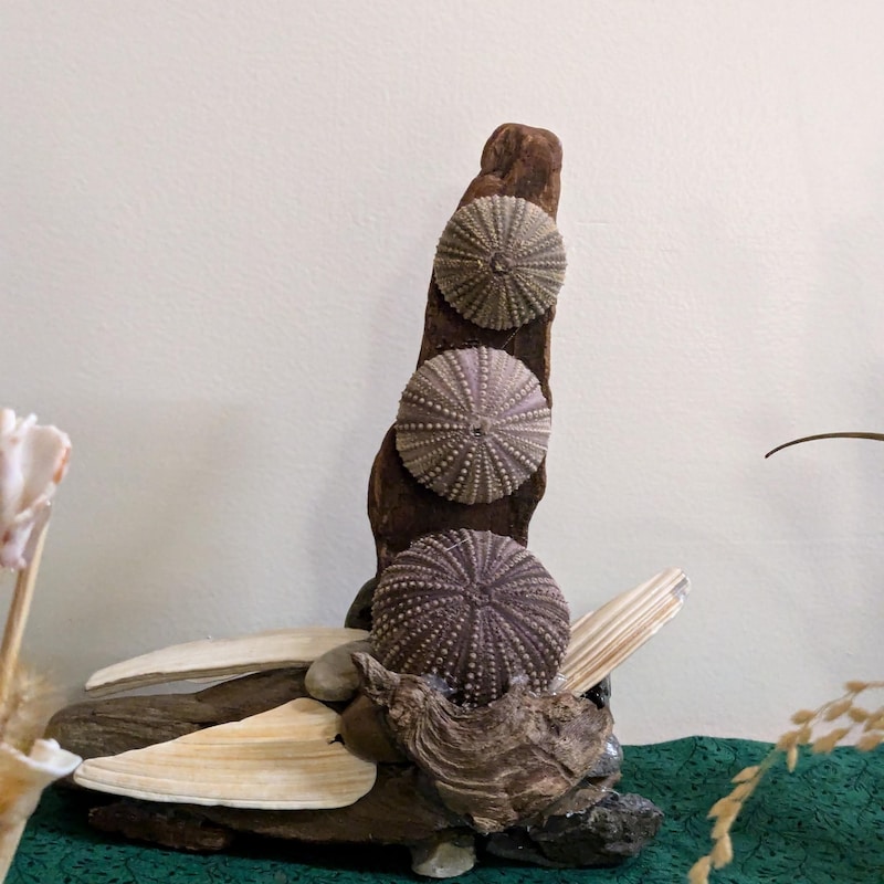 Shell Arrangements - Etsy