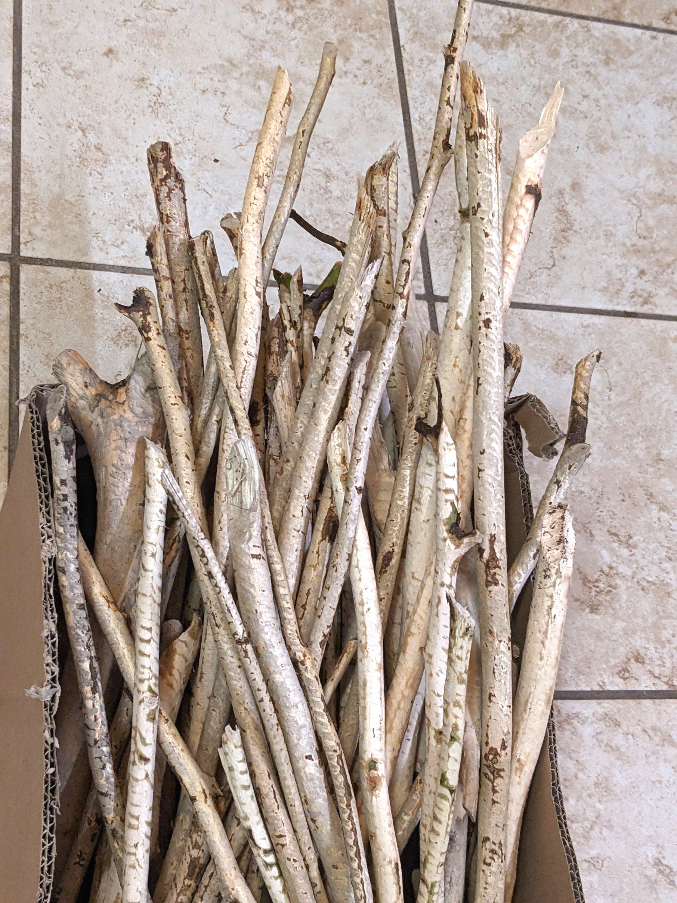 Beaver Sticks, Many Options. Beaver Chewed Craft Sticks. Double Ended ...