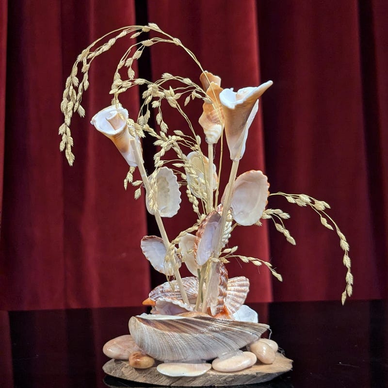 Seashell Centerpiece - Etsy