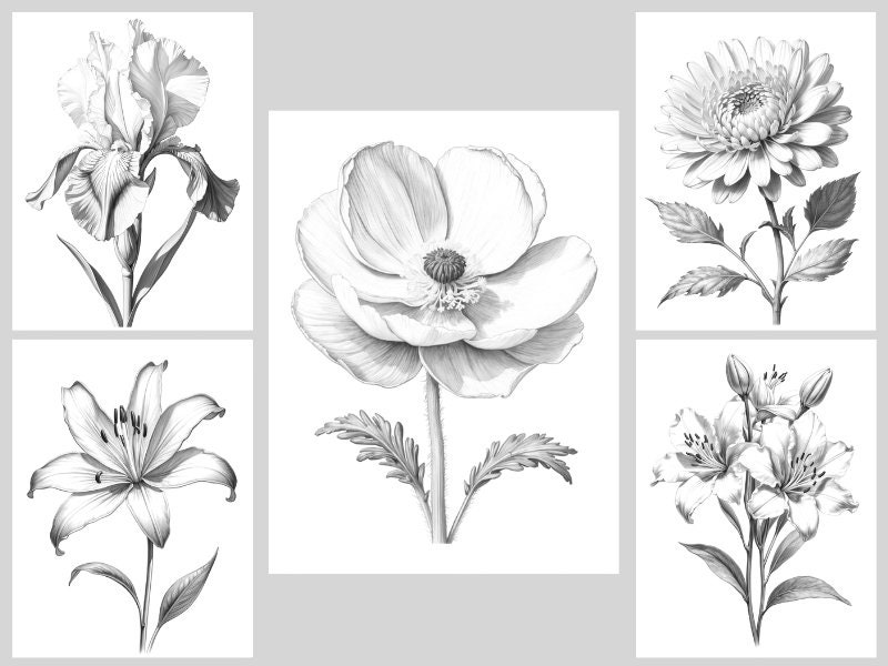 60 Botanical Flowers Coloring Book Botanical Beauty Grayscale Floral ...