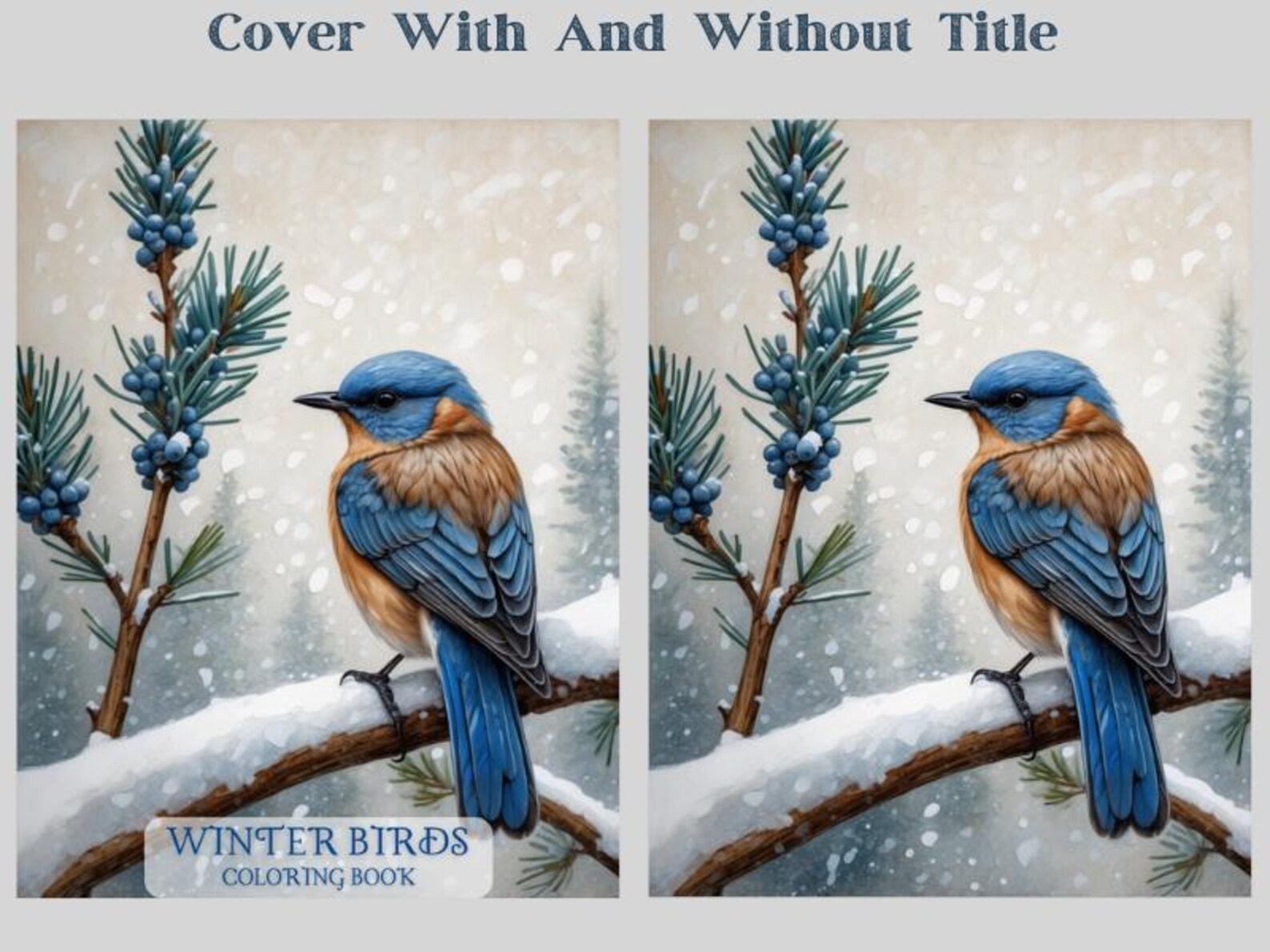 30 Bird Coloring Pages, Winter Birds Adult Coloring Book, Cute Birds in ...