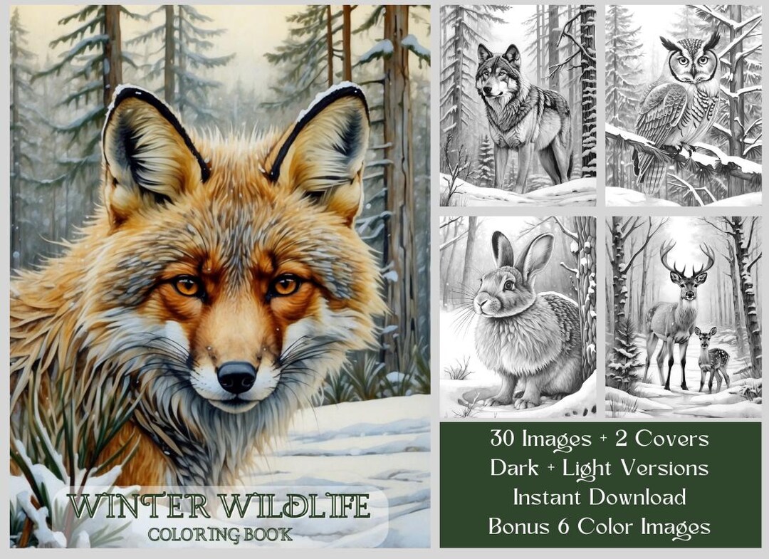 30 Wildlife Coloring Pages, Winter Wildlife Coloring Book, Forest ...
