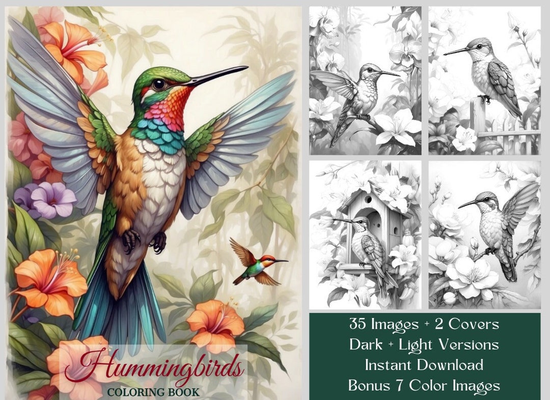 35 Bird Coloring Pages, Hummingbird Coloring Book, Printable Grayscale ...