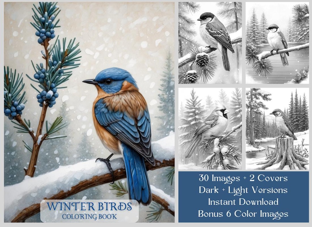 30 Bird Coloring Pages, Winter Birds Adult Coloring Book, Cute Birds in ...