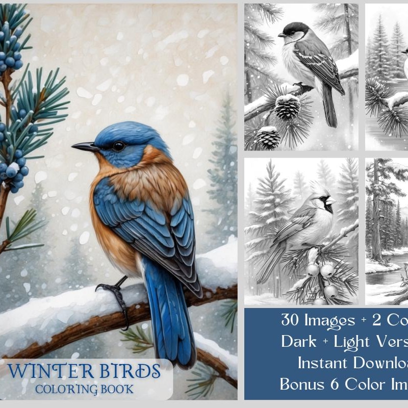 Bird Adult Coloring Book - Etsy