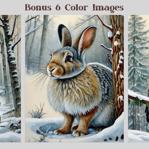 30 Wildlife Coloring Pages, Winter Wildlife Coloring Book, Forest ...
