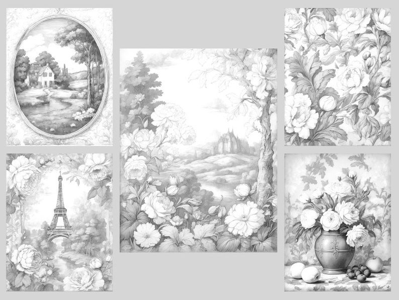 French Country Coloring Book: 40 Toile, Cottages, Flowers Printable ...