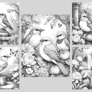 45 Floral Birds Coloring Pages, Garden Birds Coloring Book, Printable ...