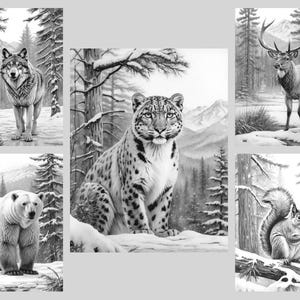 30 Wildlife Coloring Pages, Winter Wildlife Coloring Book, Forest ...