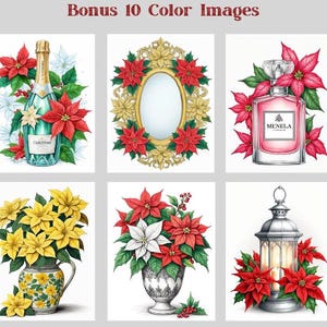 40 Poinsettia Coloring Pages, Christmas Poinsettia PDF Adult Coloring ...