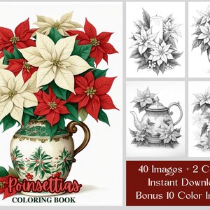 40 Poinsettia Coloring Pages, Christmas Poinsettia PDF Adult Coloring ...