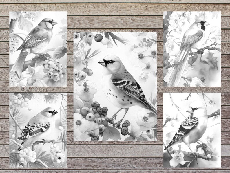 40 Bird Coloring Pages Springtime Birds Coloring Book for Kids & Adults ...