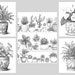 40 Plant Coloring Pages - Printable Pretty Succulent, Cactus ...