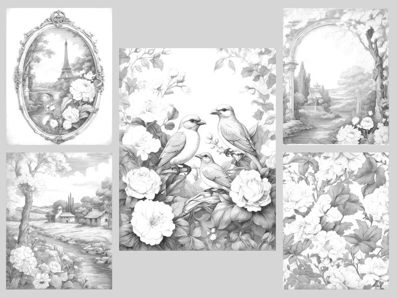 French Country Coloring Book: 40 Toile, Cottages, Flowers Printable ...
