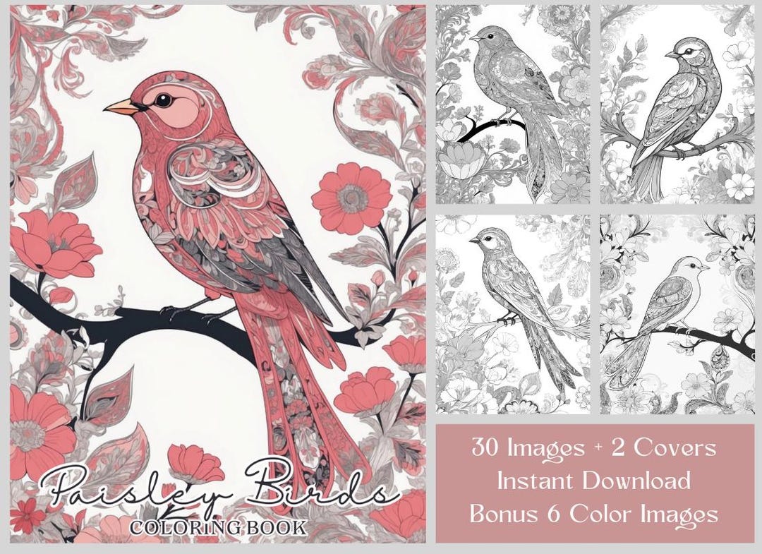30 Bird Coloring Pages, Paisley Birds Coloring Book, Grayscale ...