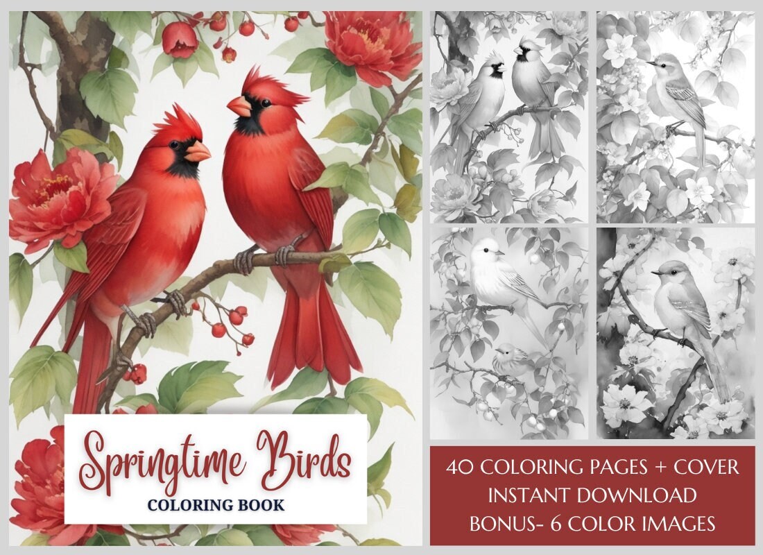 40 Bird Coloring Pages Springtime Birds Coloring Book for Kids & Adults ...