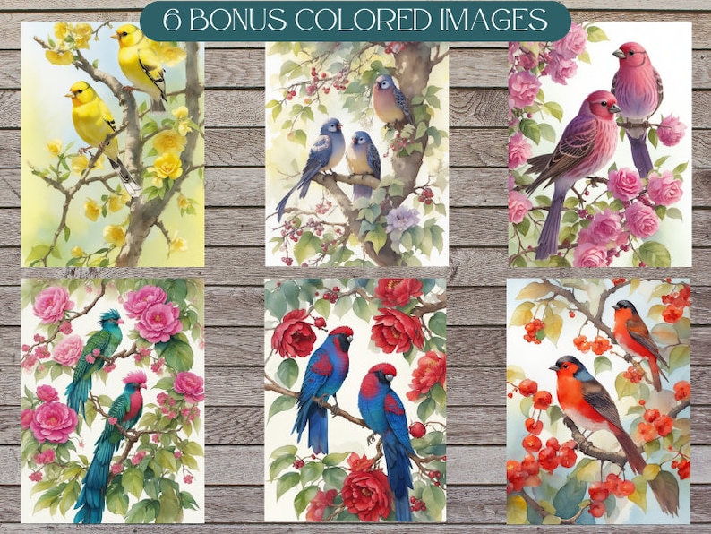 40 Bird Coloring Pages Springtime Birds Coloring Book for Kids & Adults ...