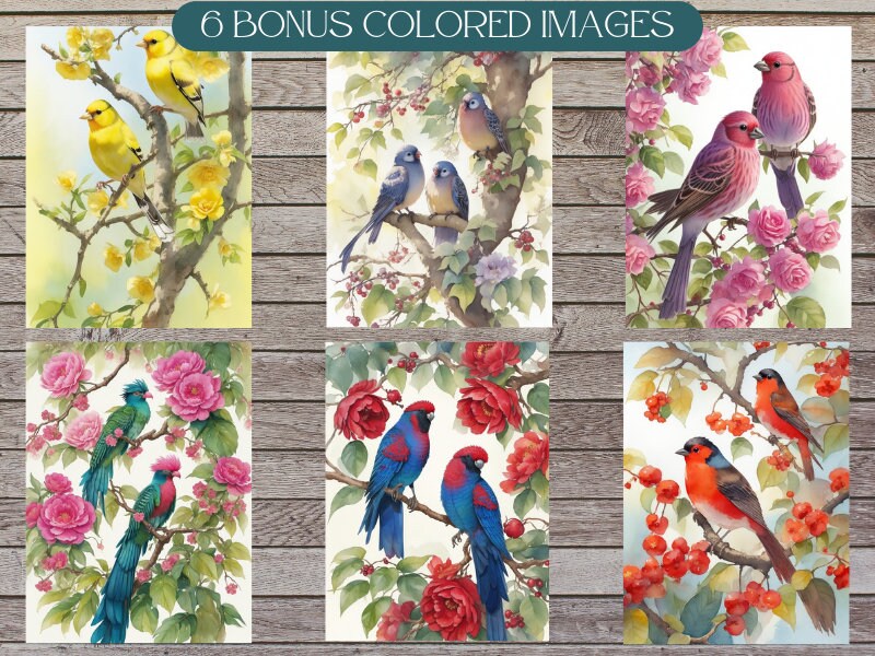 40 Bird Coloring Pages Springtime Birds Coloring Book for Kids & Adults ...