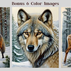 30 Wildlife Coloring Pages, Winter Wildlife Coloring Book, Forest ...