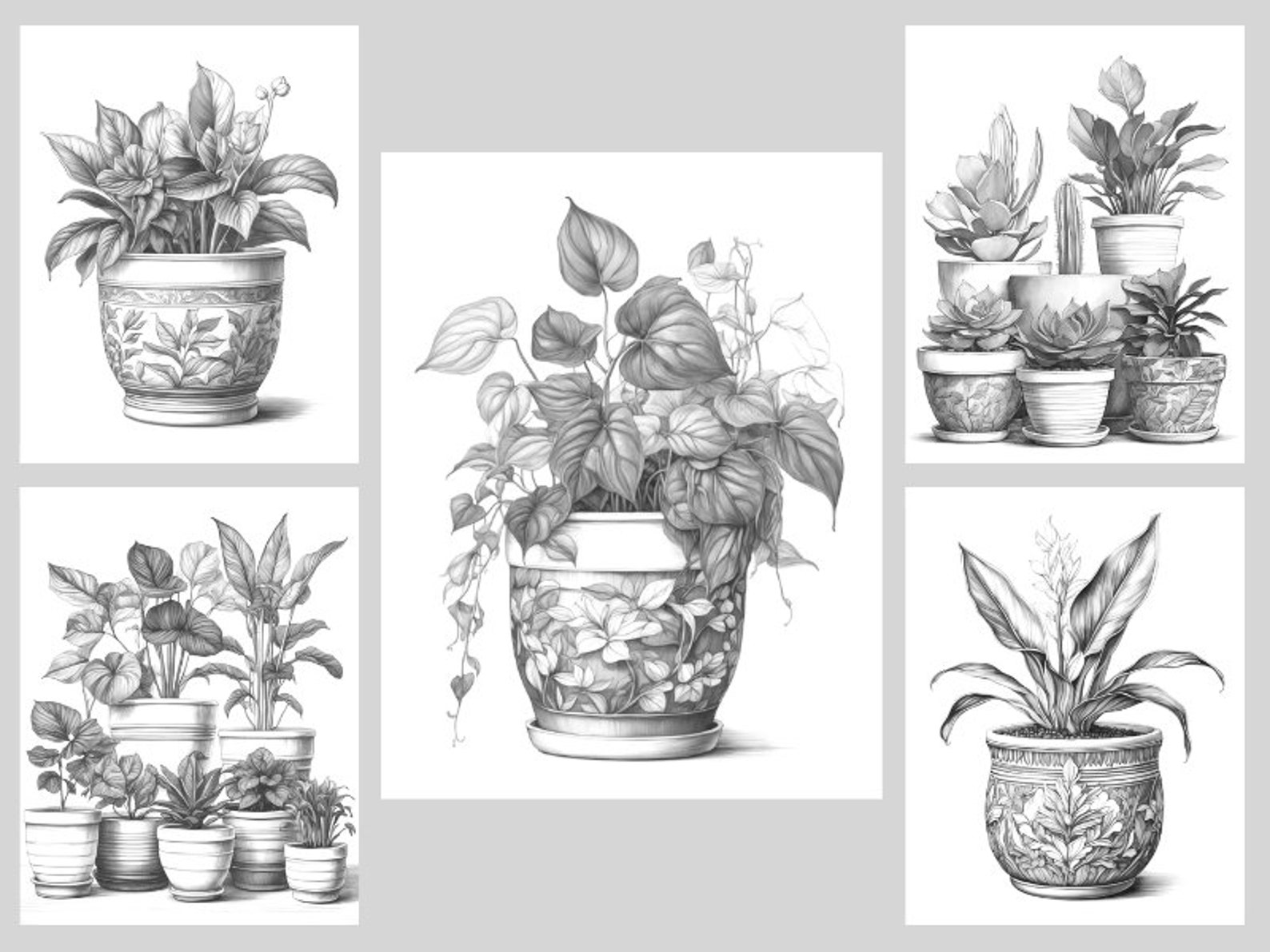 40 Plant Coloring Pages - Printable Pretty Succulent, Cactus ...