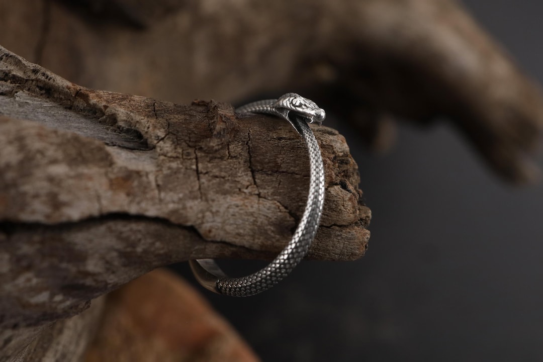 Silver Ouroboros Band Ring for Men, Unique Serpent Ring, Snake Eating ...