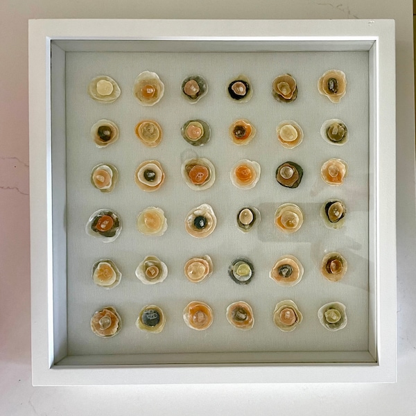 Shell Art Shadow Box - Etsy