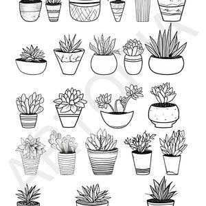 Plant Thin Line, Clipart PNG, Black and White Plants, Fine Line Plants ...