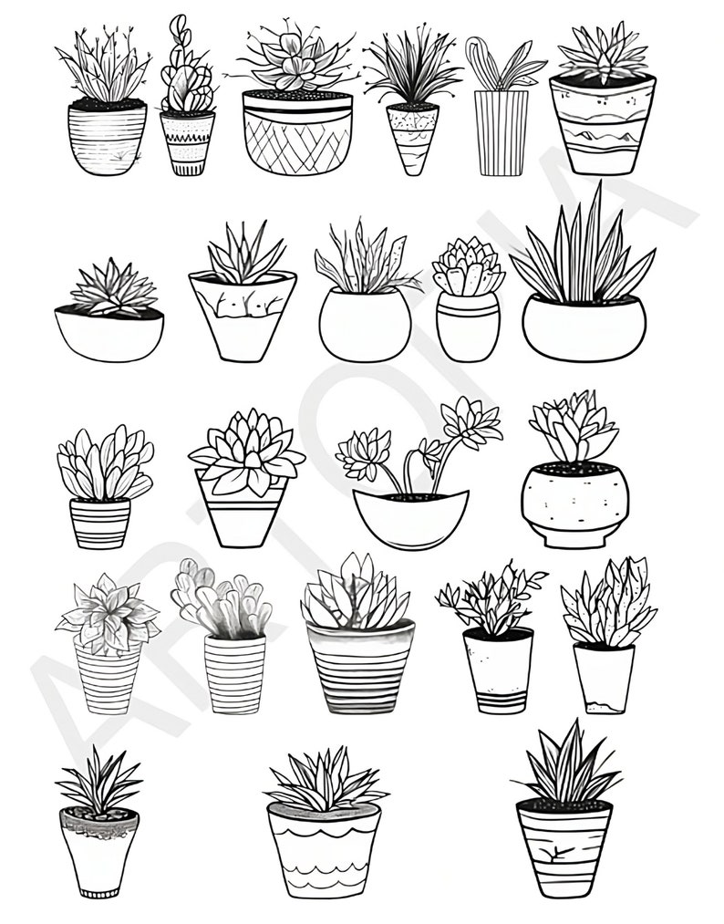 Plant Thin Line, Clipart PNG, Black and White Plants, Fine Line Plants ...