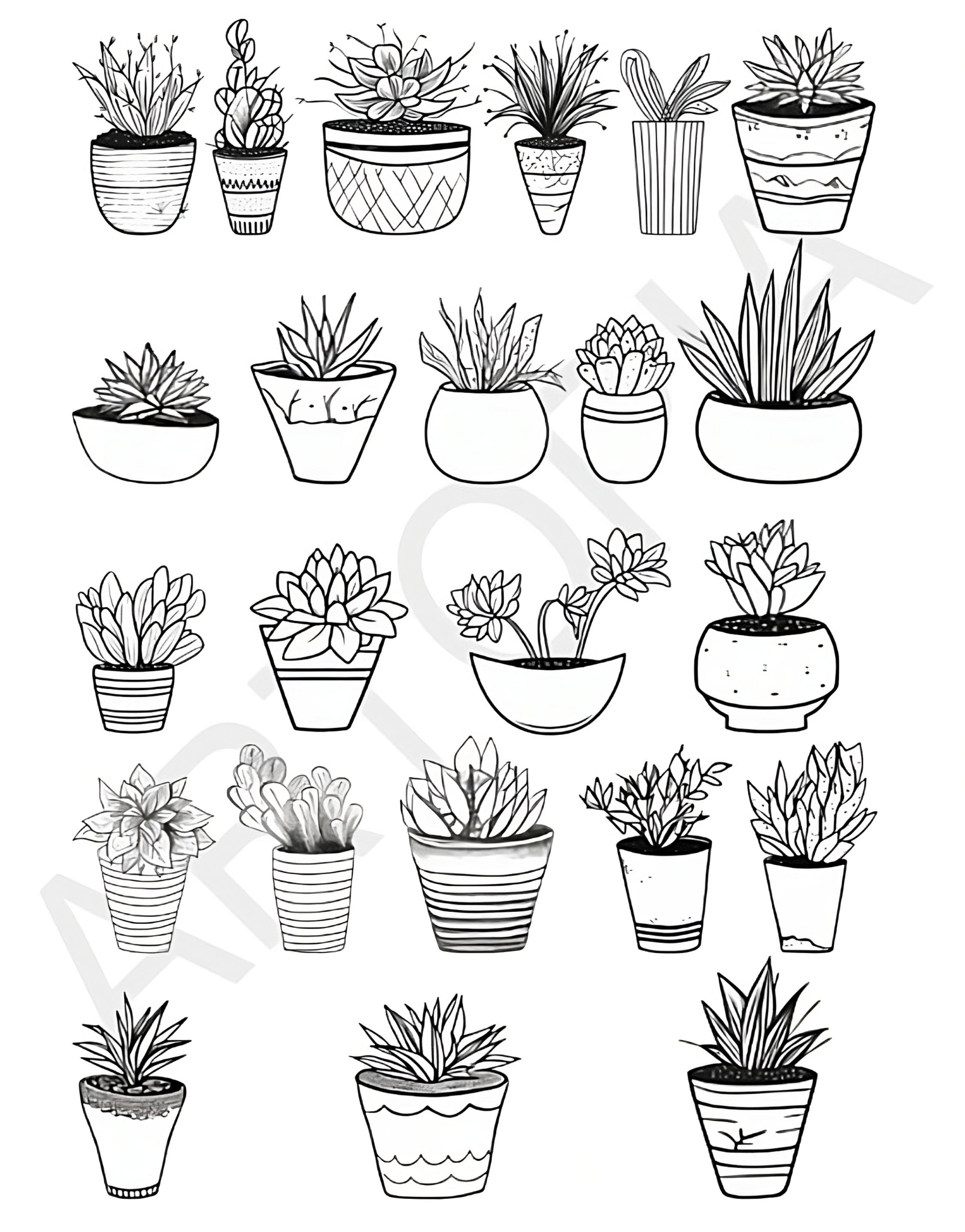 Plant Thin Line, Clipart PNG, Black and White Plants, Fine Line Plants ...