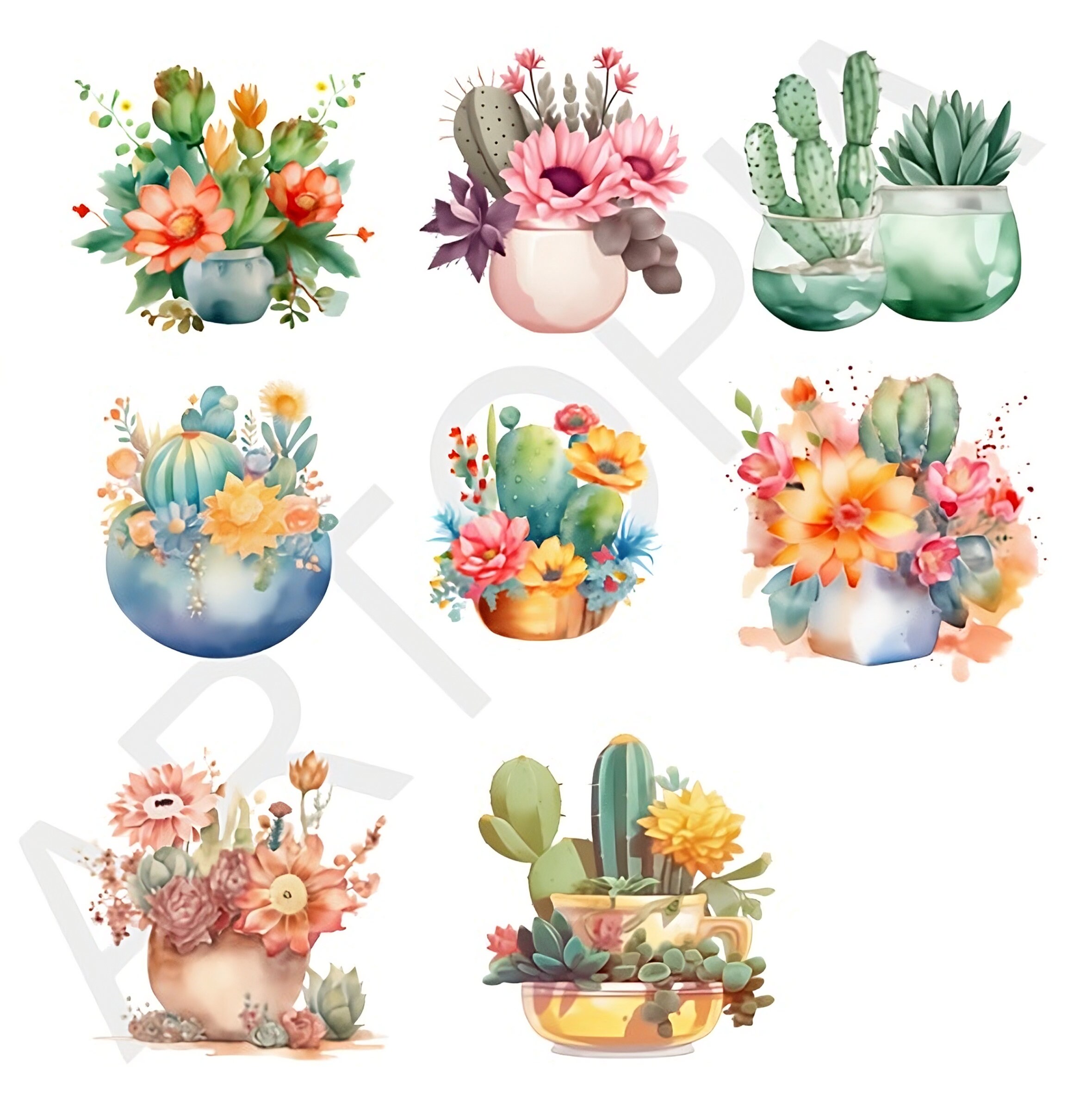 Watercolor Cactus, Clipart PNG, Painting Cactus, Colorful Hibiscus ...