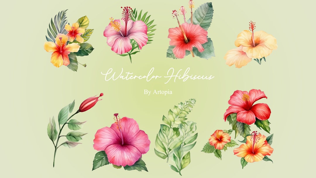 Watercolor Hibiscus, Clipart PNG, Colorful Hibiscus, Botanical ...