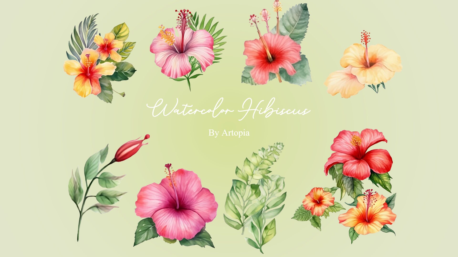 Watercolor Hibiscus, Clipart PNG, Colorful Hibiscus, Botanical ...