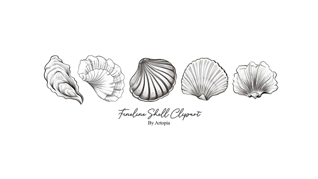 Fineline Seashells Clipart, PNG Images, Seashells, Thin Line, Instant ...